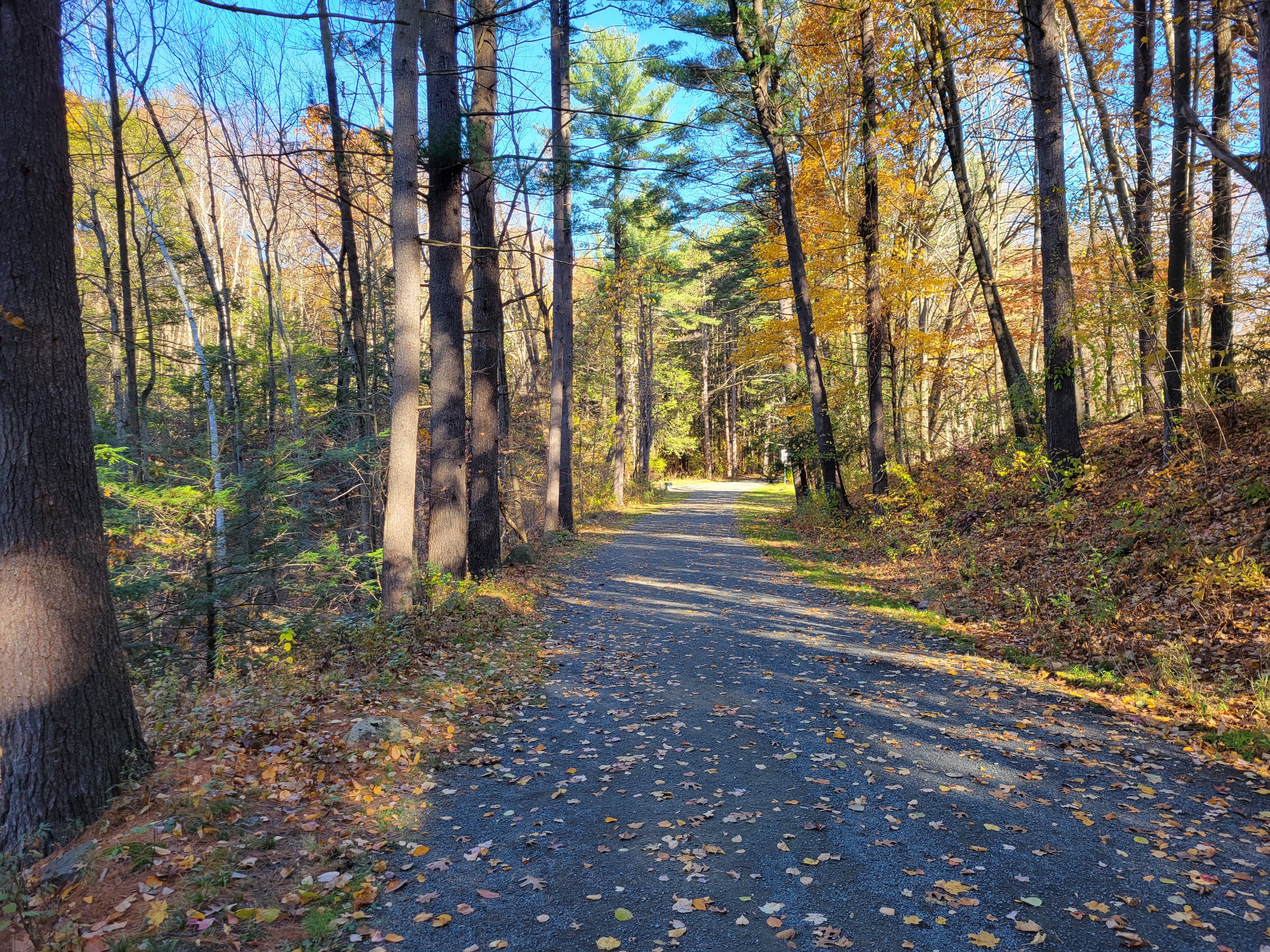 Gallery – Pokin' Along